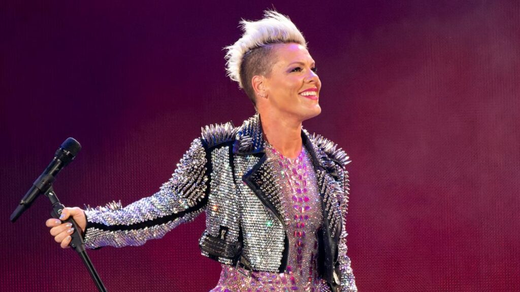 Pink Responds to Marriage Rumors With a Blunt Message After Two Decades ...
